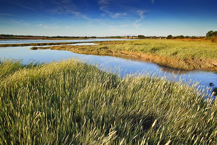 Parc Naturel Régional de la Vallée de la Rance – Côte d’Émeraude : l ...